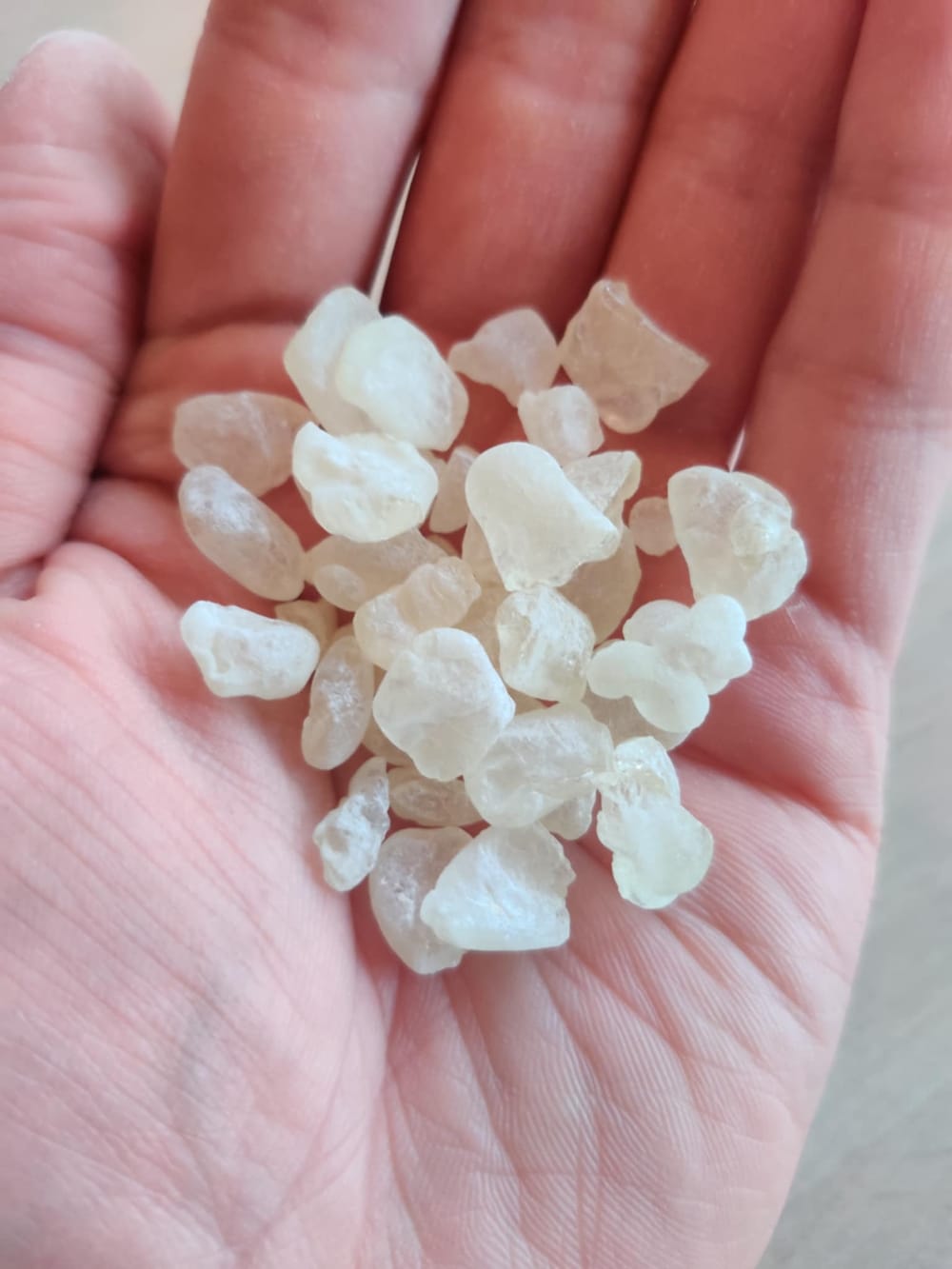 Mastic Gum Review - My honest experience